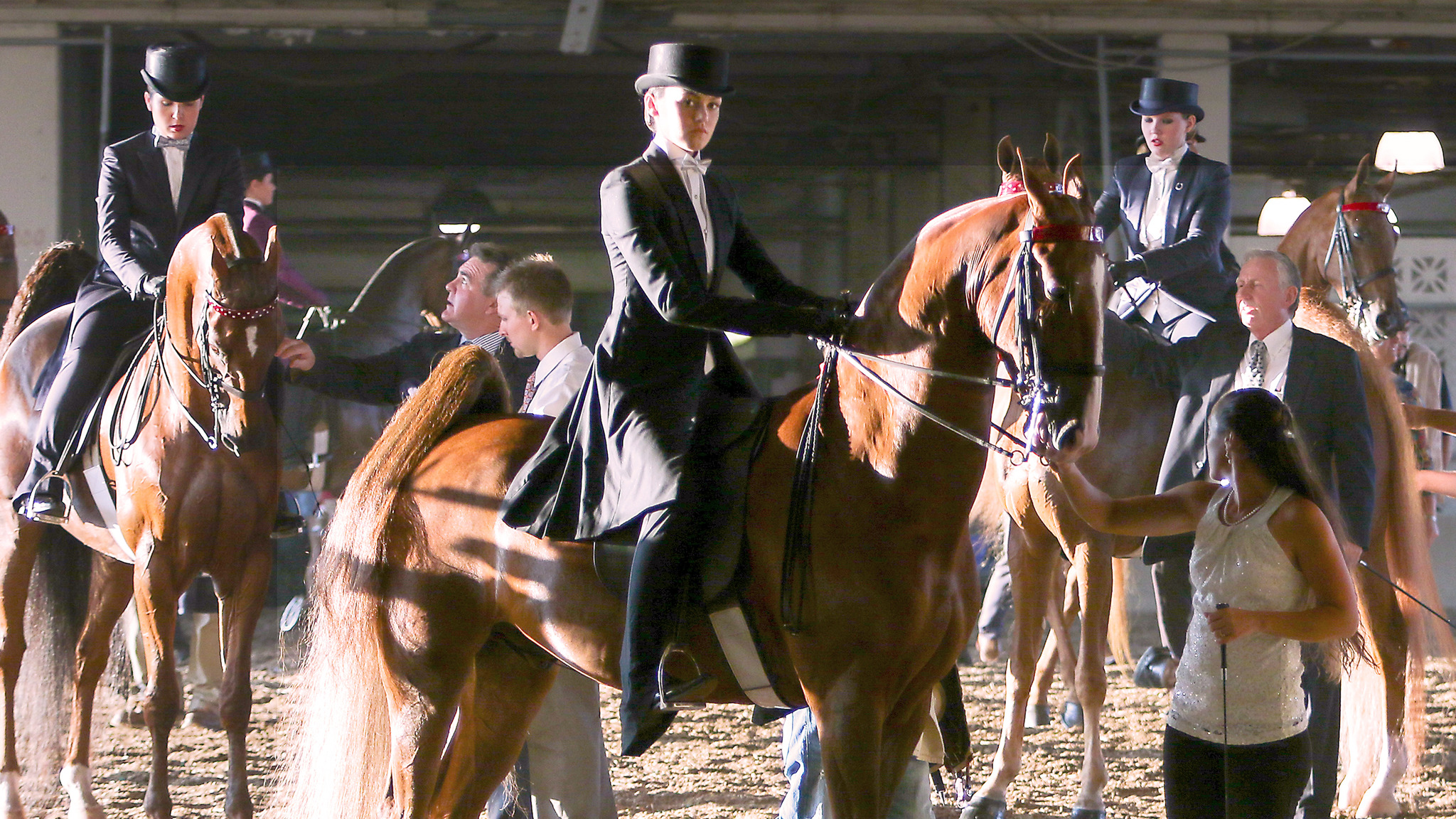 World s Championship Horse Show At Freedom Hall On Aug 20 2022 Tickets World s Championship Horse Show At Freedom Hall On Aug 20 2022 Tickets
