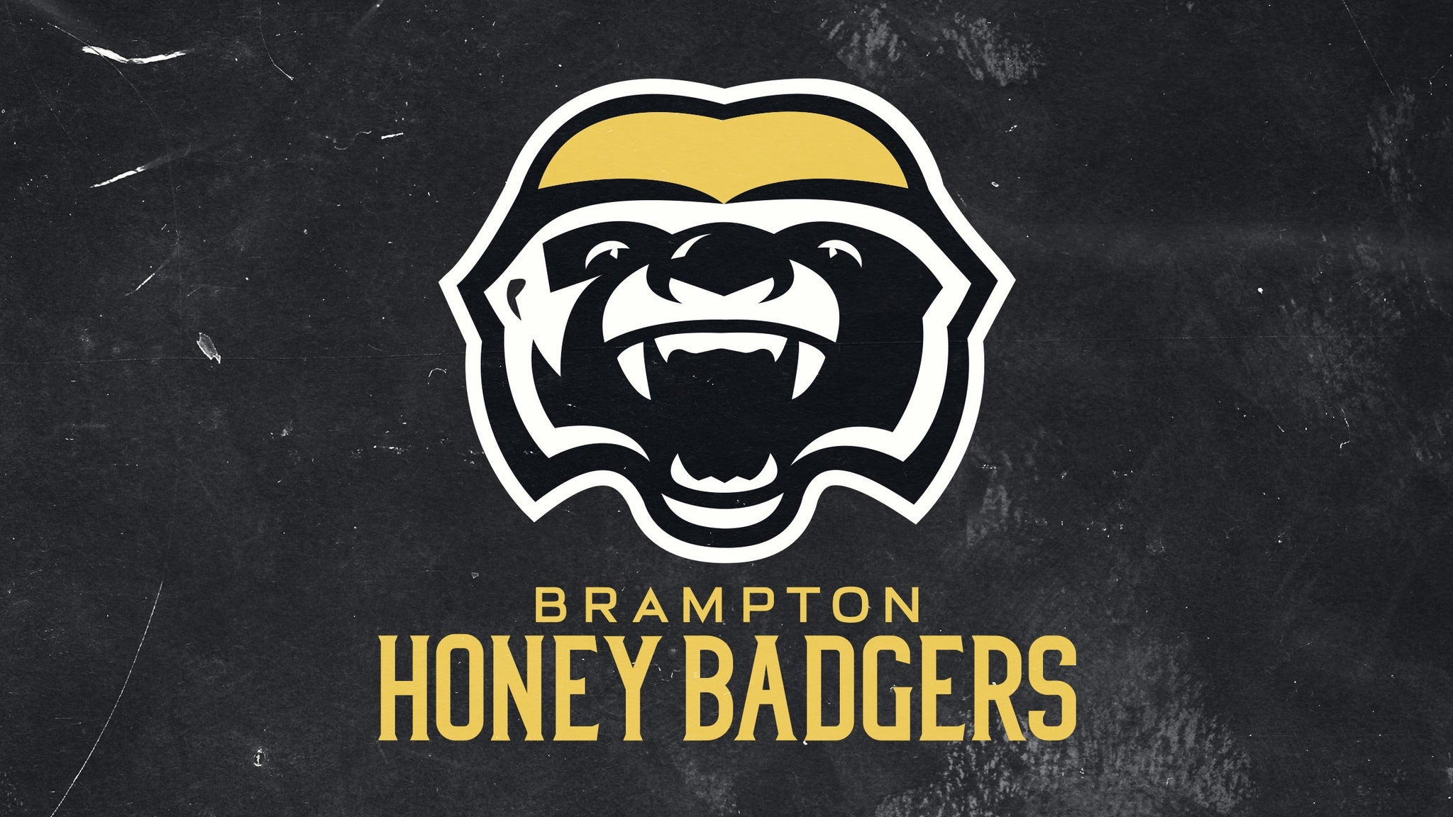 Brampton Honey Badgers vs. Edmonton Stingers | Schedulesite