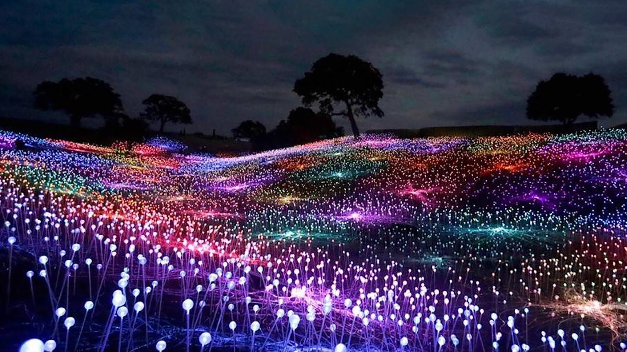 Field of Light Tickets | Event Dates & Schedule | Ticketmaster.com