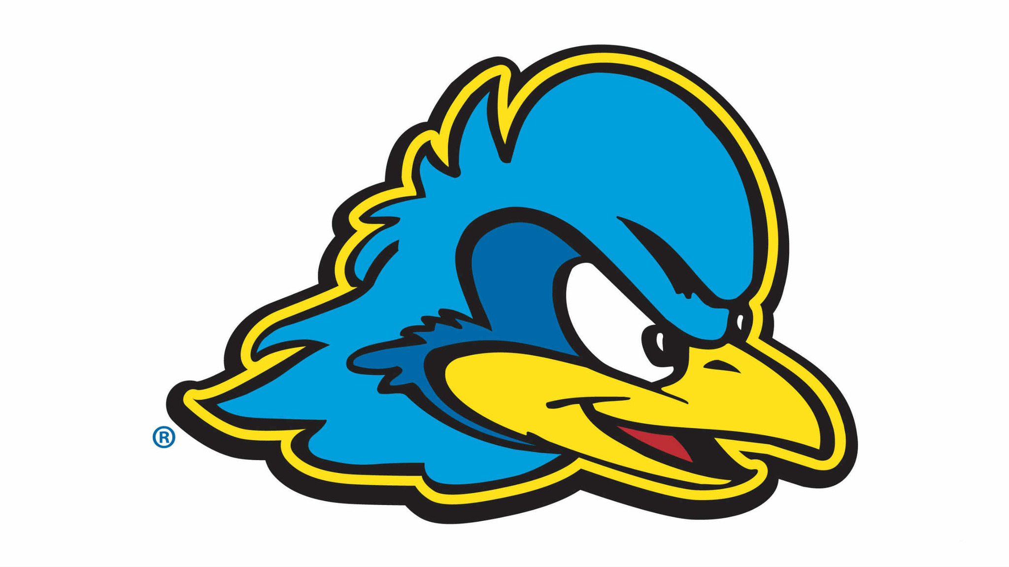 University of Delaware Blue Hens Men's Baseball Tickets | 2023 College ...