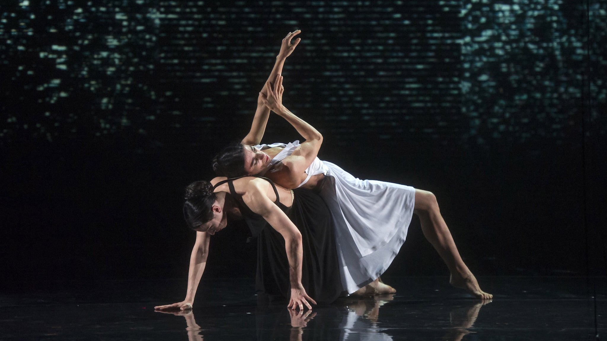 Blanca Li - Maria Alexandrova Tickets | Event Dates & Schedule ...