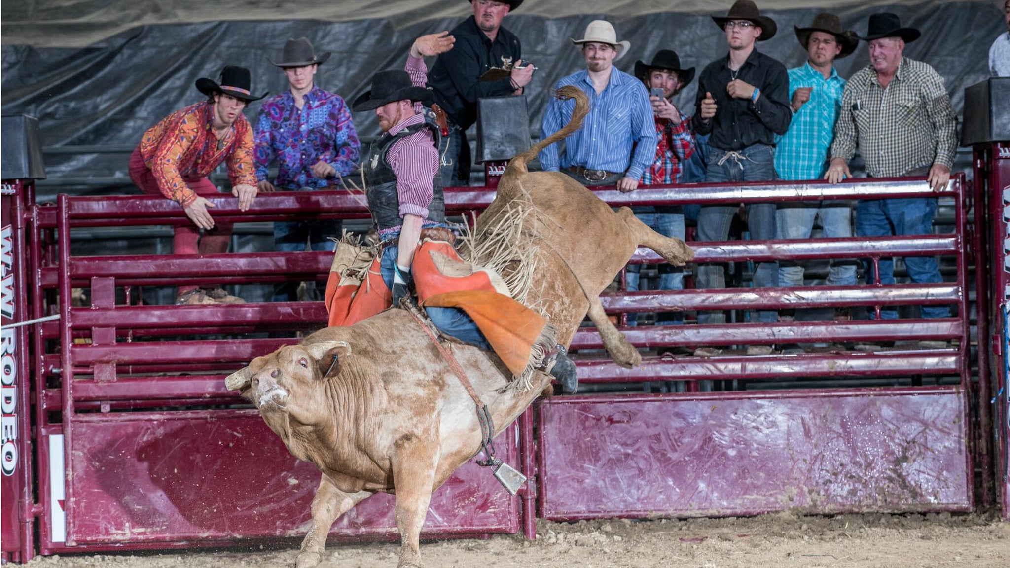 Xtreme Bulls And Bands Tickets | Single Game Tickets & Schedule ...