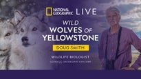 National Geographic Live - Wild Wolves of Yellowstone Tickets Feb 12 ...