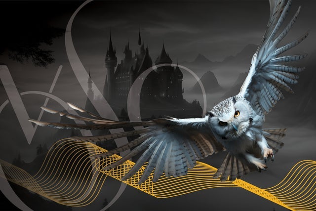 Virginia Symphony: The Musical World of Harry Potter Virginia Beach ...