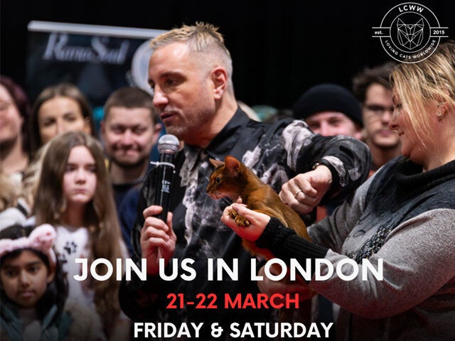 Copper Box Seating Plan With Seat Numbers - Infoupdate.org